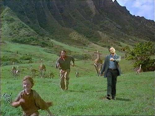 Leo Strutting Photoshopped photos are hilarious