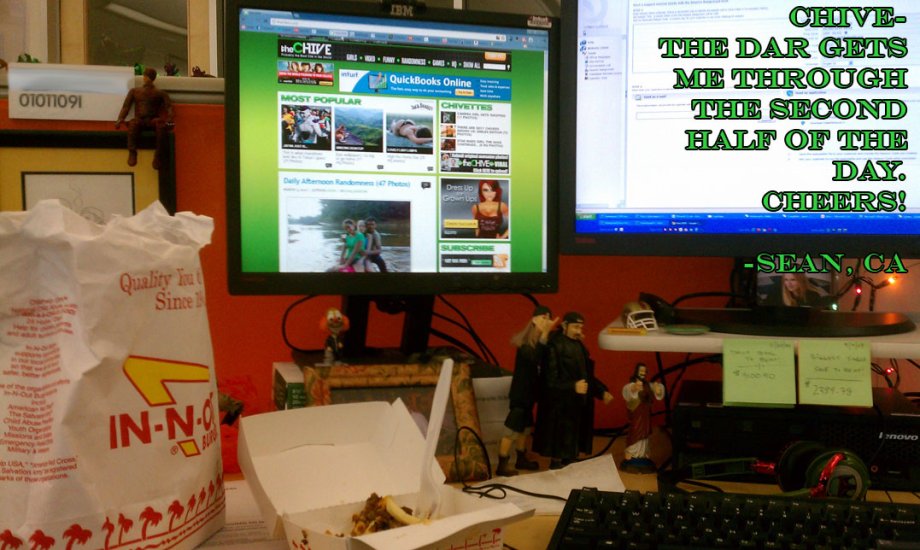 the chive phenomenon is spreading