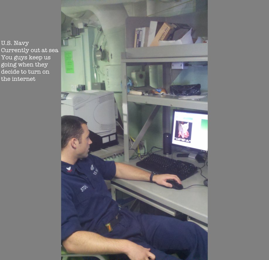 the chive phenomenon is spreading