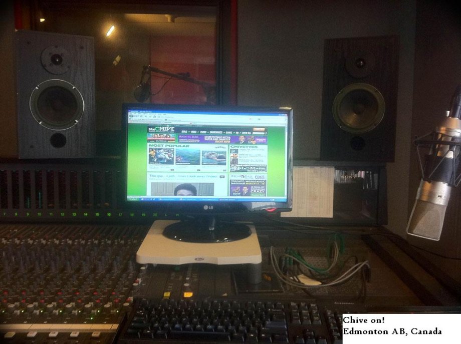 the chive phenomenon is spreading