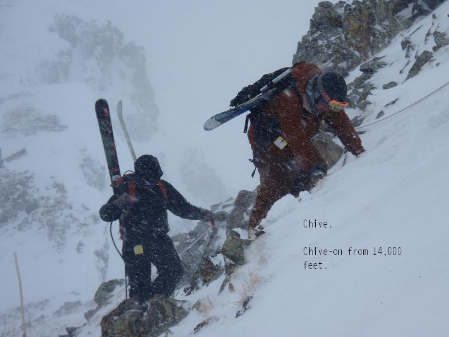 the chive phenomenon is spreading