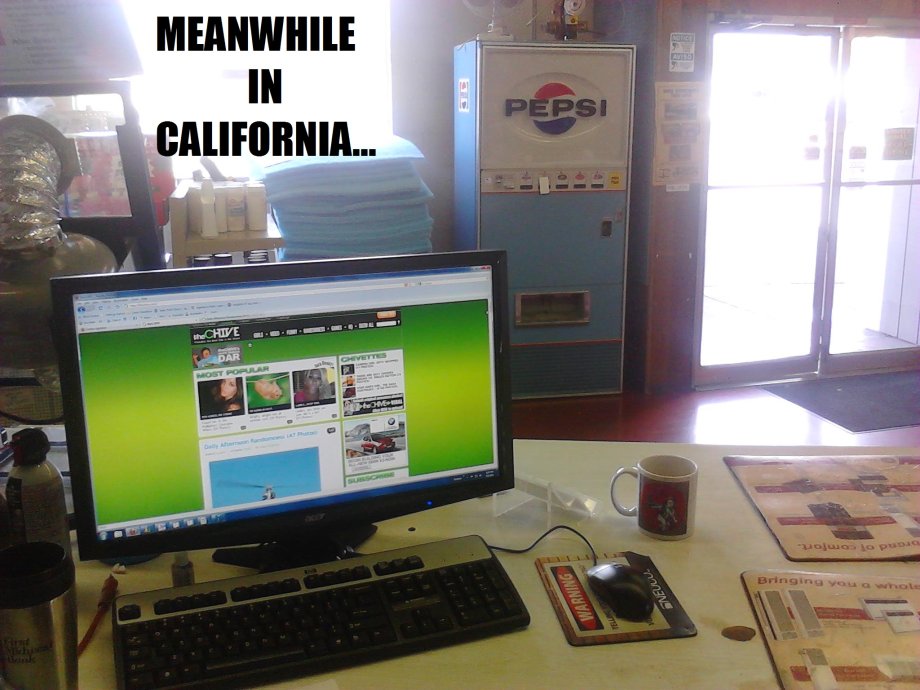 the chive phenomenon is spreading