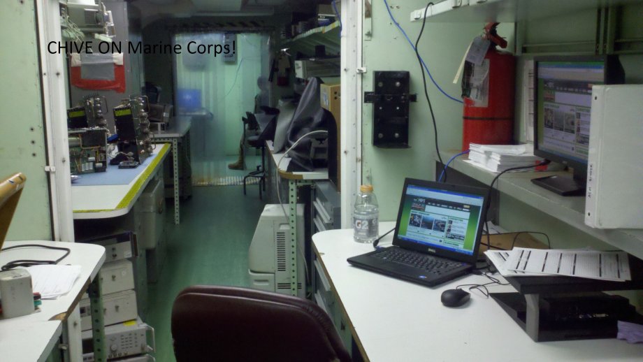 the chive phenomenon is spreading