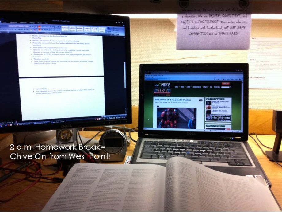 the chive phenomenon is spreading