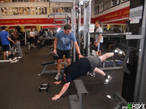 patty gets personal trainer Brian Raymond at Gold's Gym