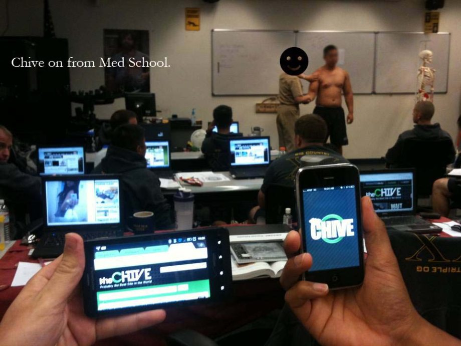 Chive Everywhere (65 Photos)