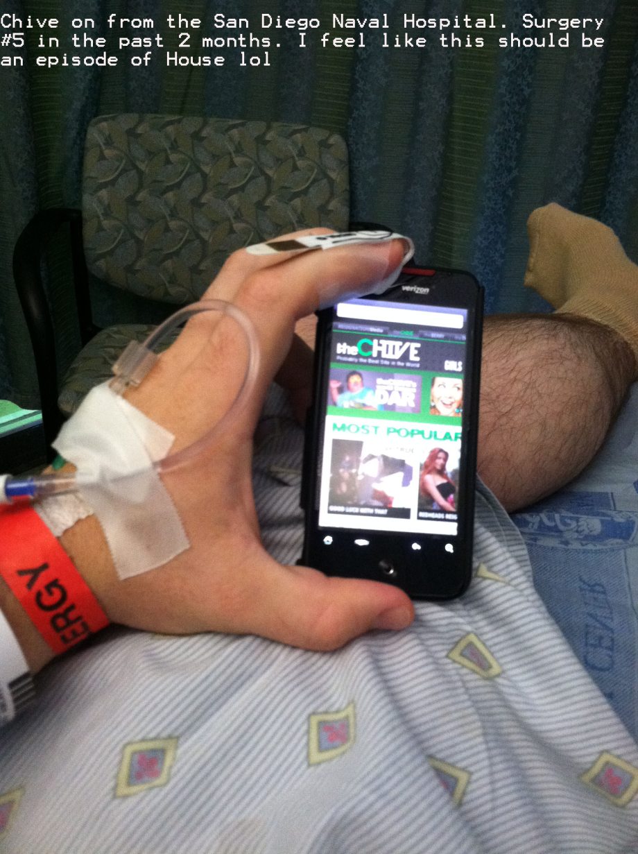 Chive Everywhere (47 Photos)