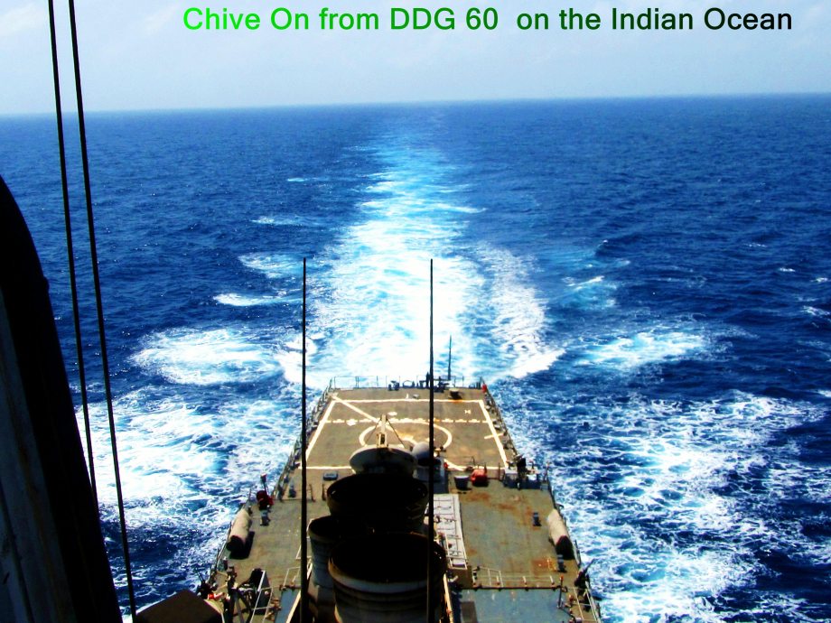 Chive Everywhere (47 Photos)