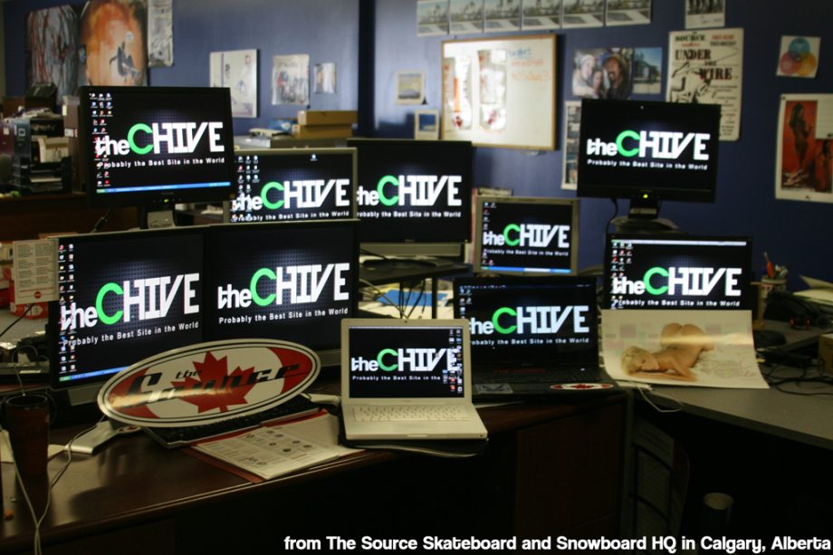 Chive Everywhere (47 Photos)