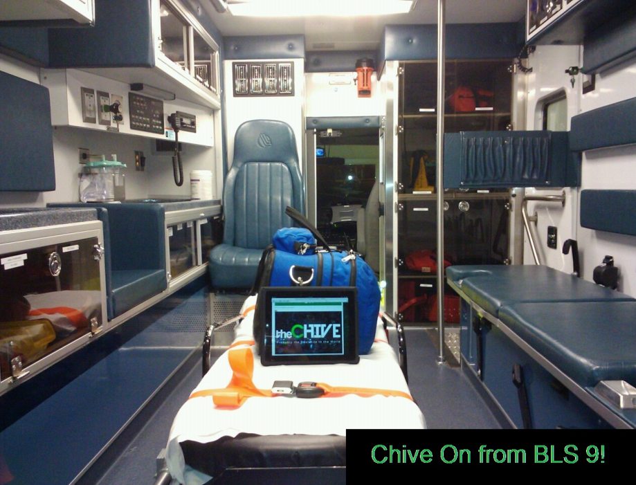 Chive Everywhere (47 Photos)