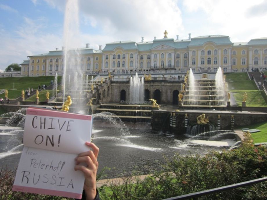 Chive Everywhere (73 Photos)