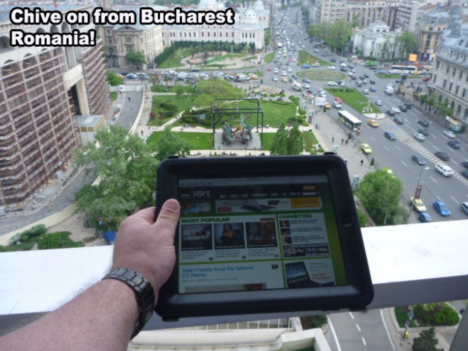 Chive Everywhere (73 Photos)