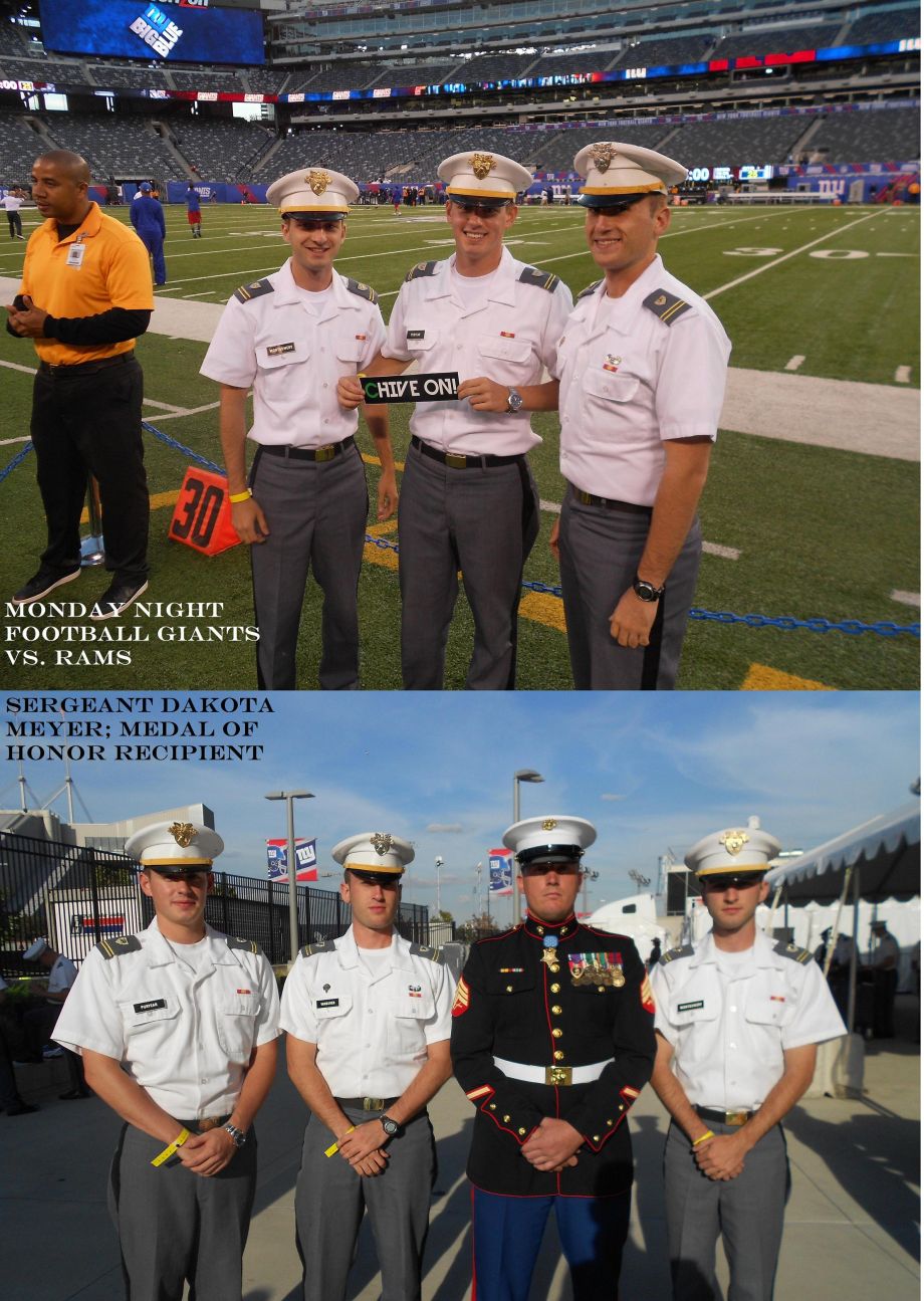 Chive Everywhere (73 Photos)