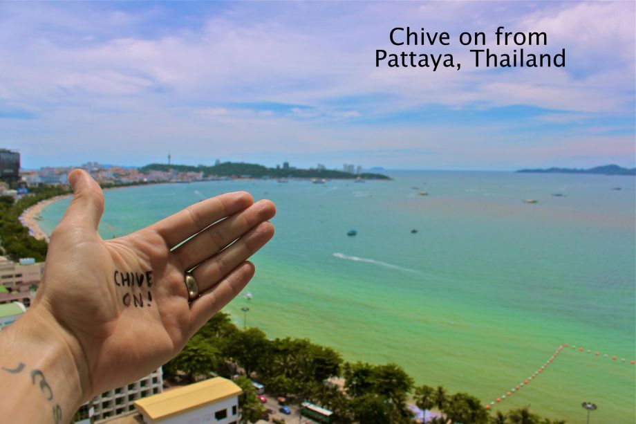 Chive Everywhere (60 HQ Photos)