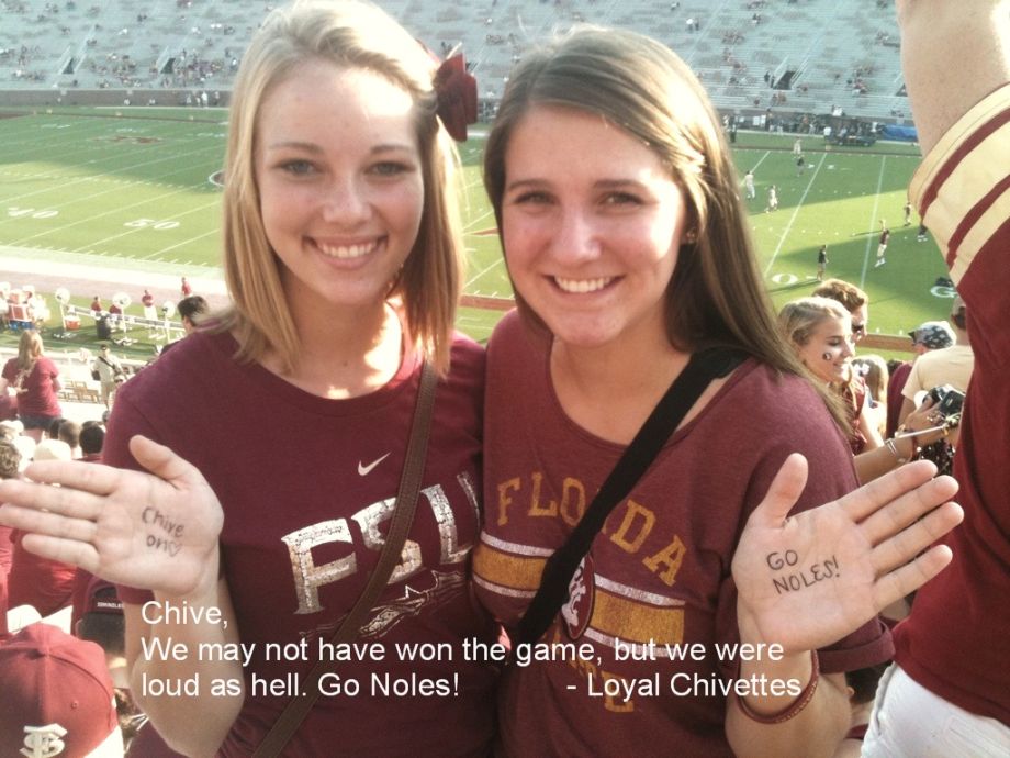 Chive Everywhere (60 HQ Photos)