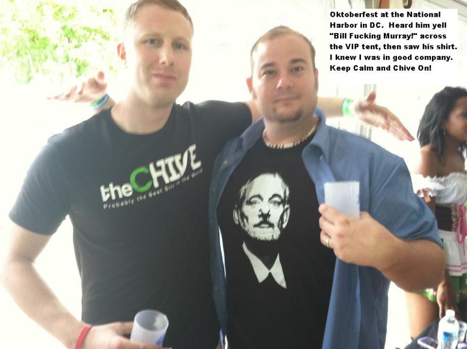 Chive Everywhere (60 HQ Photos)