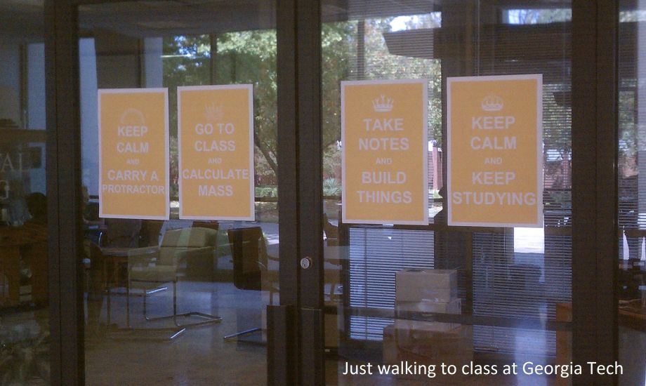 Chive Everywhere (60 HQ Photos)