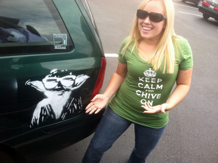 Chive Everywhere (60 HQ Photos)