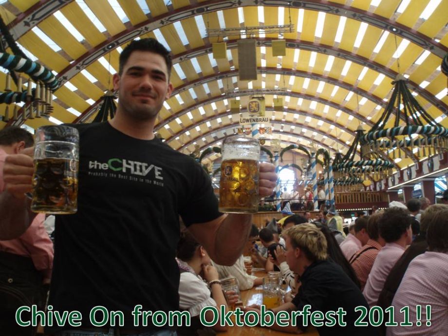 Chive Everywhere (64 Photos)