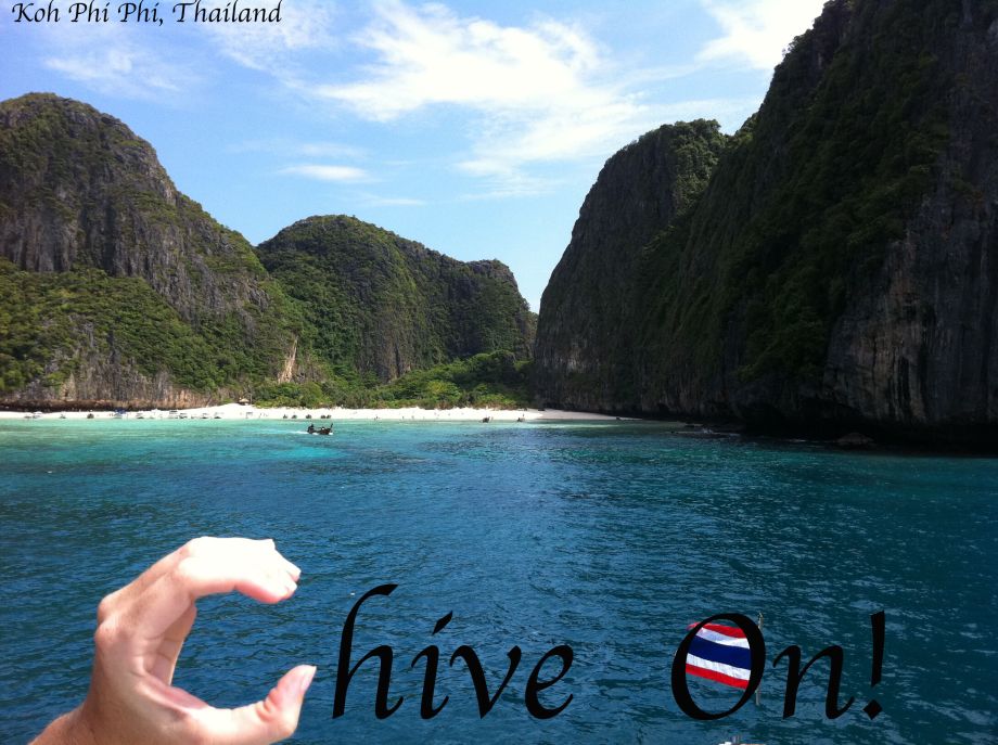 Chive Everywhere (67 HQ Photos)