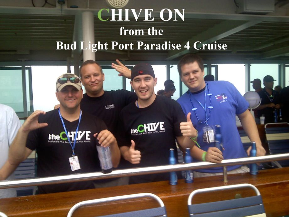 Chive Everywhere (67 HQ Photos)