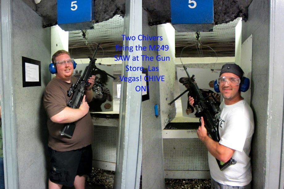 Chive Everywhere (67 HQ Photos)