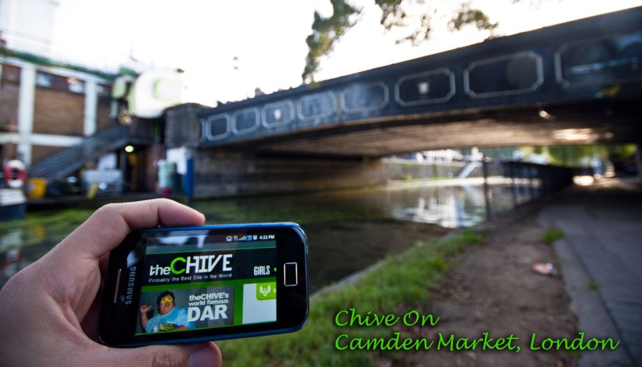 Chive Everywhere (67 HQ Photos)