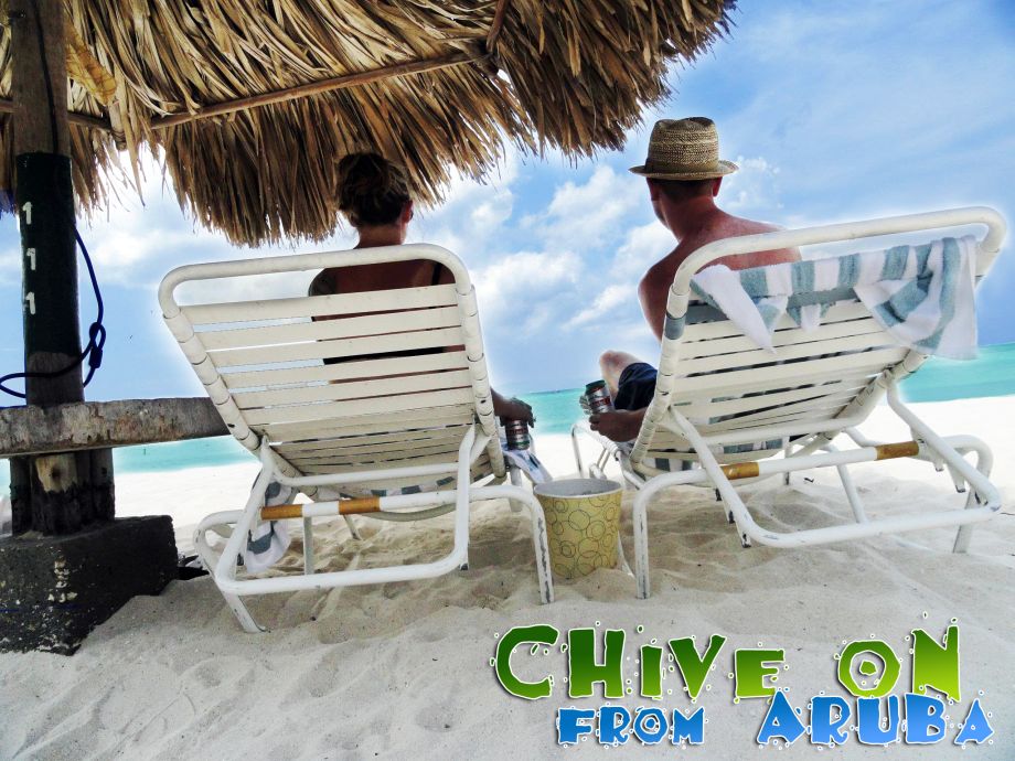 Chive Everywhere (67 HQ Photos)