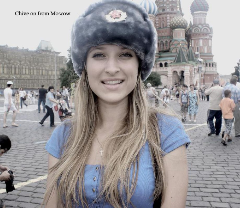 Chive Everywhere (67 HQ Photos)