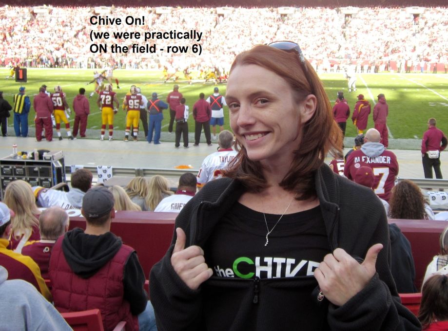 Chive Everywhere (67 HQ Photos)