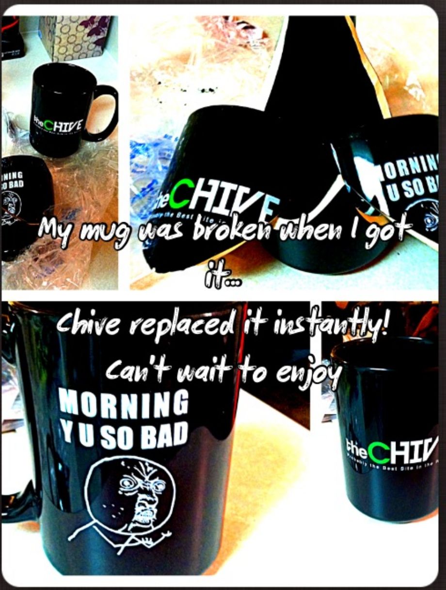 Chive Everywhere (67 HQ Photos)