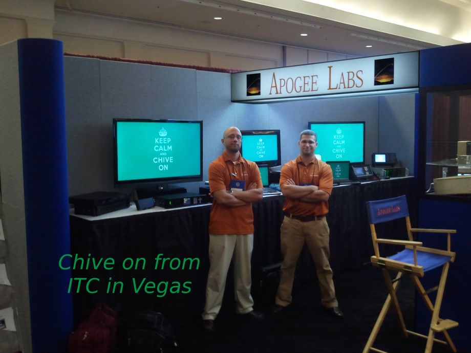 Chive Everywhere (67 HQ Photos)