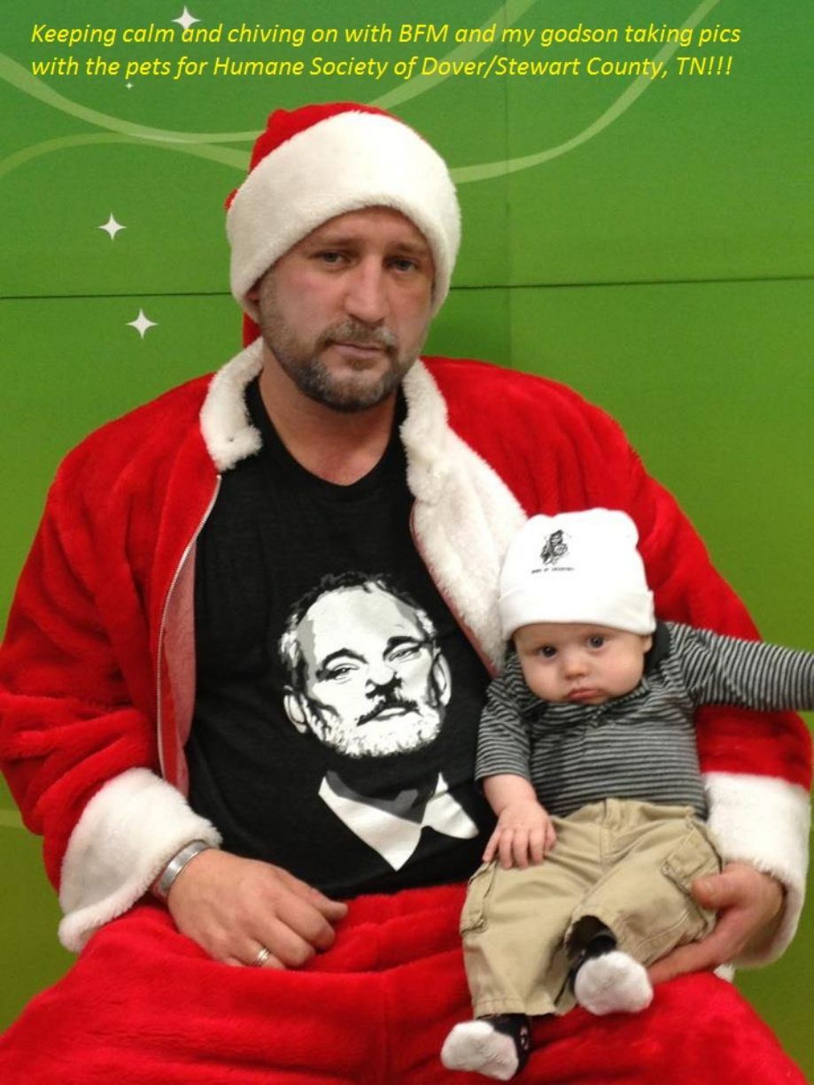 Christmas Everywhere (68 Photos)