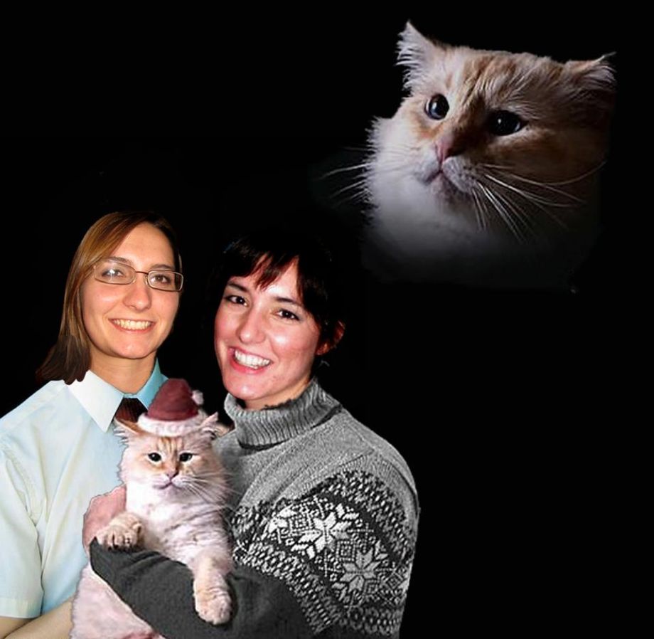 Christmas Everywhere (68 Photos)