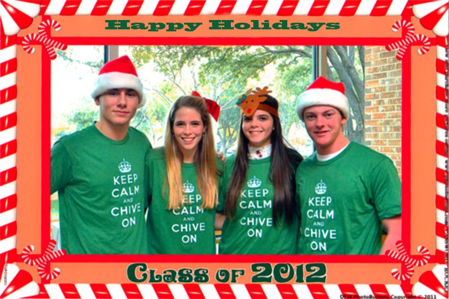 Chive Everywhere (65 HQ Photos)