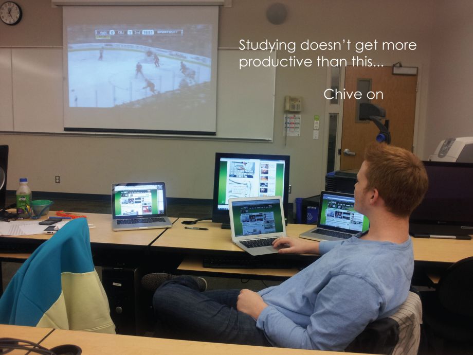 Chive Everywhere (65 HQ Photos)