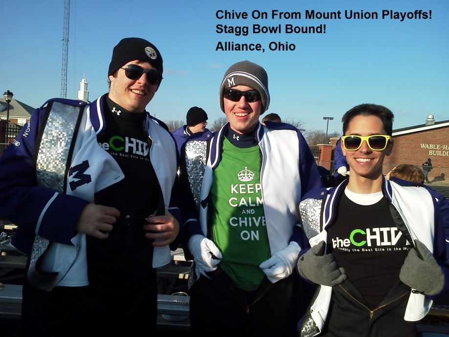 Chive Everywhere (65 HQ Photos)