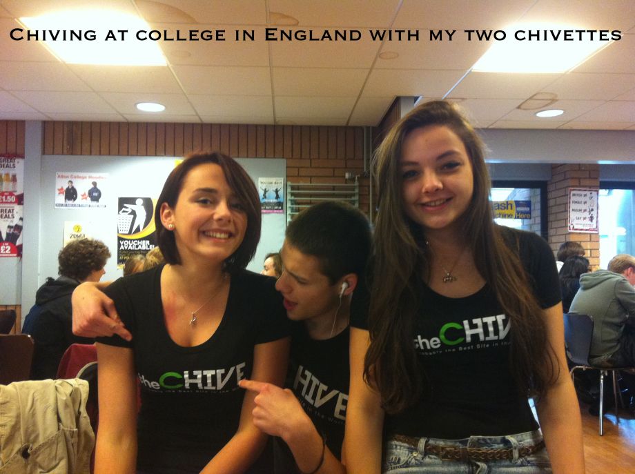 Chive Everywhere (65 HQ Photos)