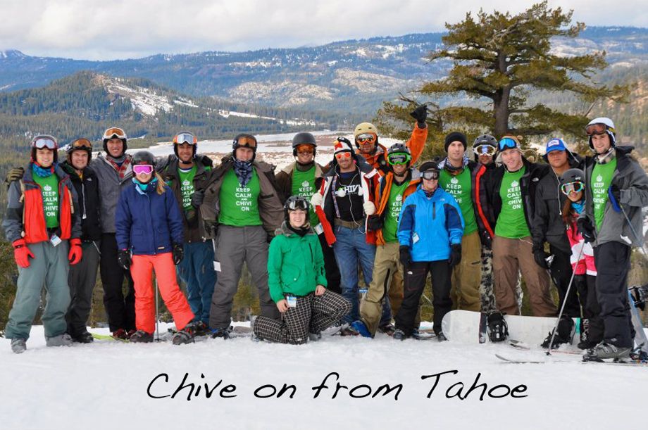 Chive Everywhere (70 HQ Photos)