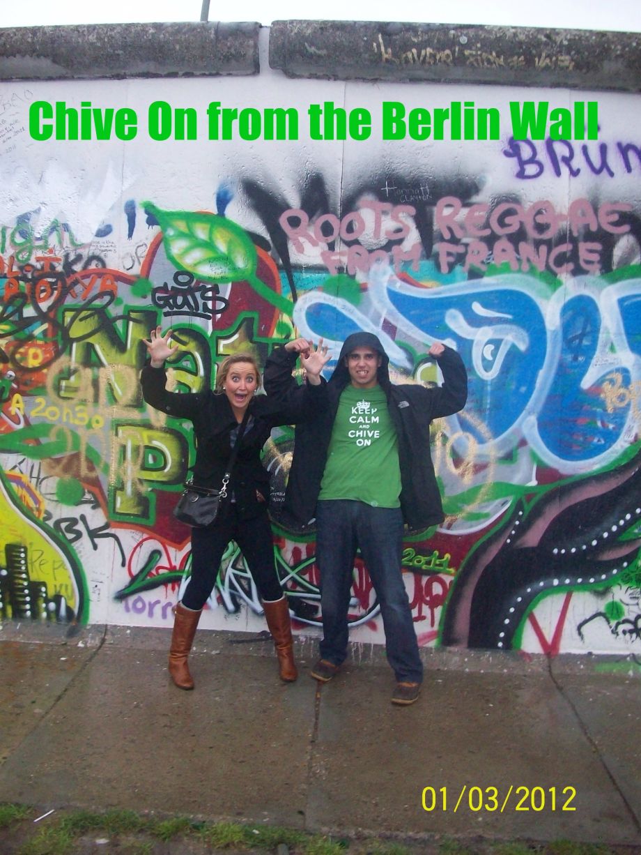 Chive Everywhere (66 Photos)