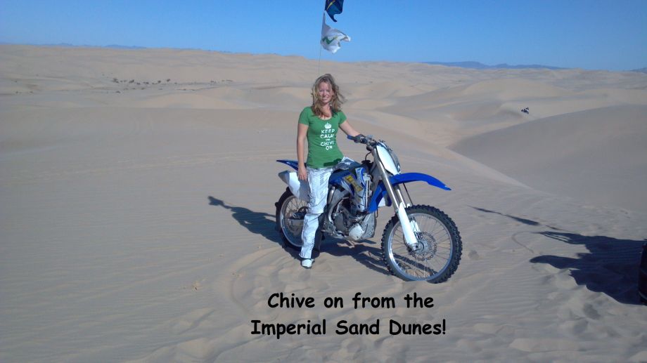 Chive Everywhere (66 Photos)