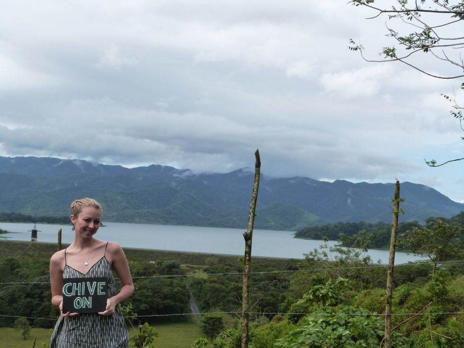 Chive Everywhere (66 Photos)