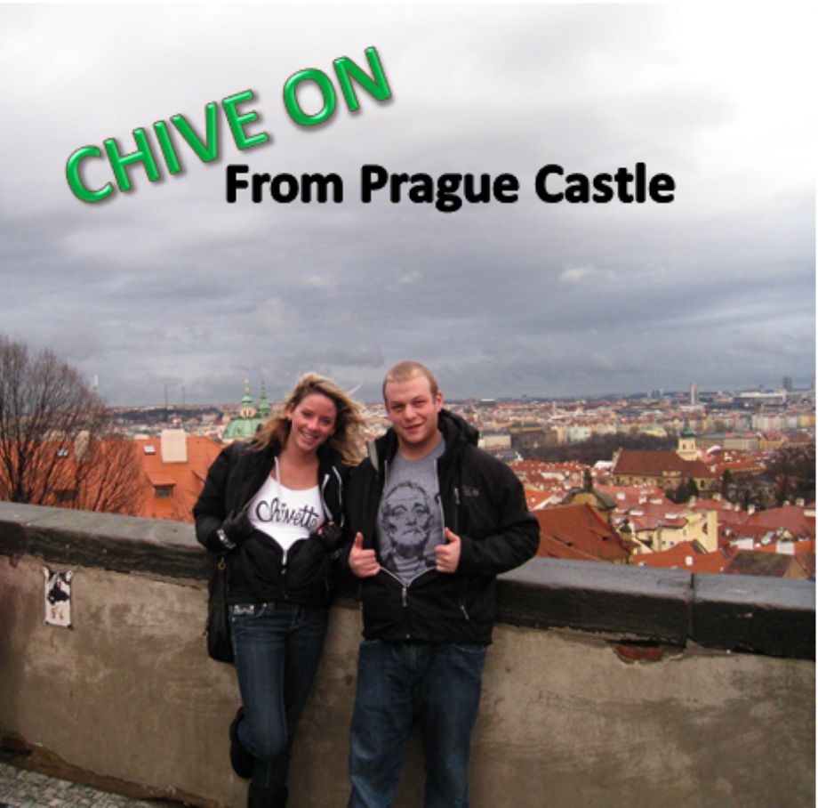 Chive Everywhere (66 Photos)