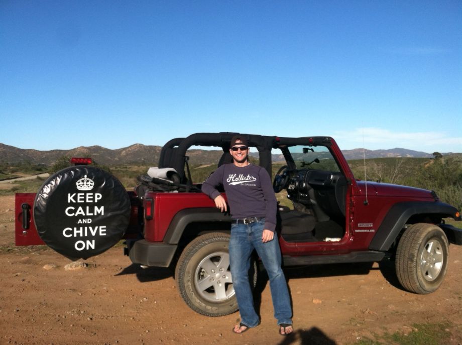 Chive Everywhere (66 Photos)