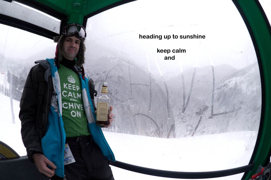 Chive Everywhere (66 Photos)