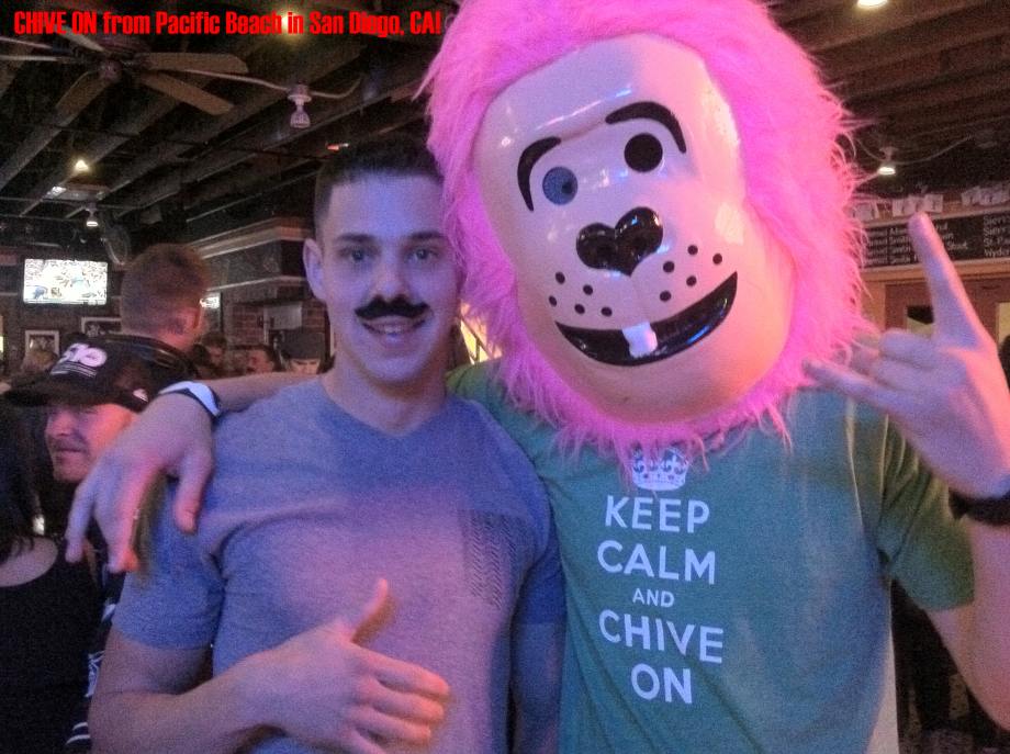 Chive Everywhere (71 Photos)