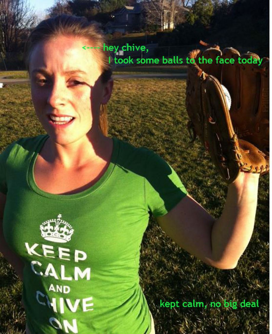 Chive Everywhere (66 Photos)