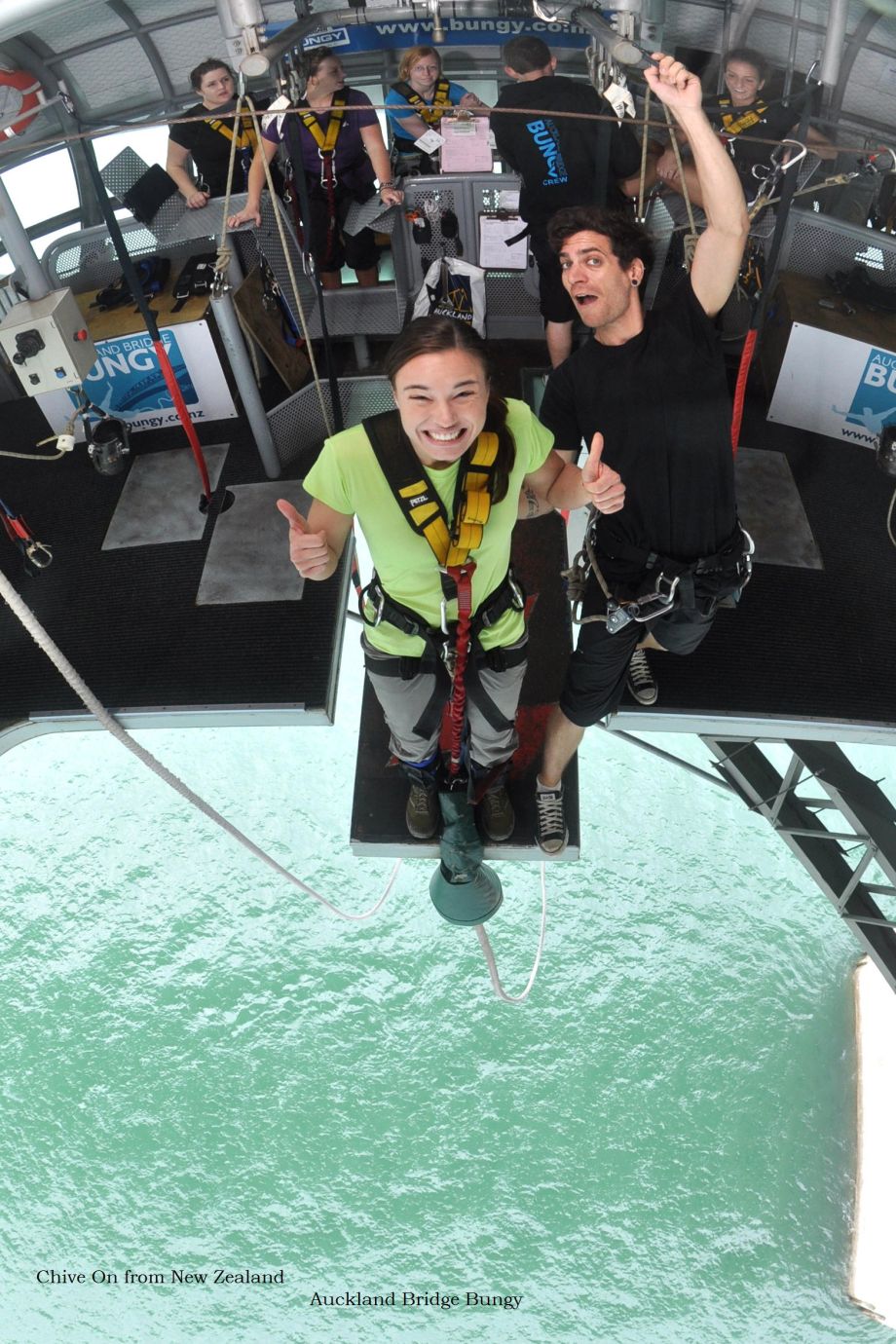 Chive Everywhere (66 Photos)