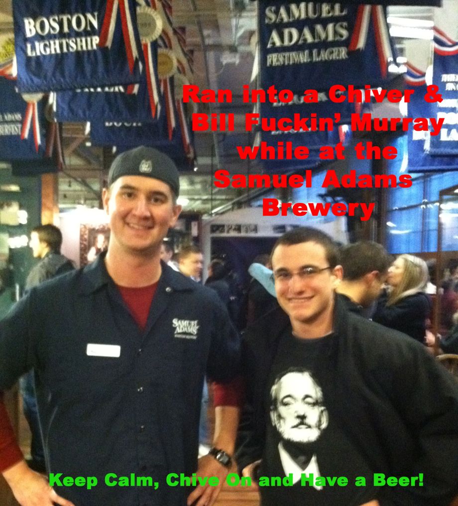 Chive Everywhere (70 HQ Photos)