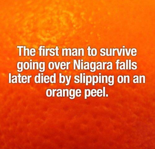 25 random and useless facts